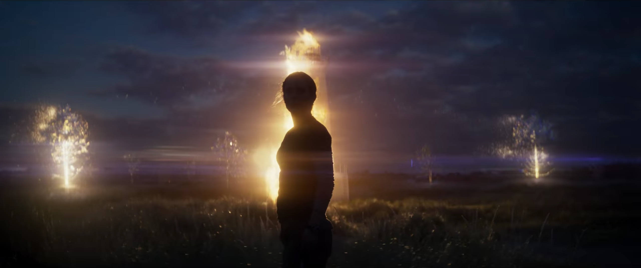 Annihilation: Change and the concept of the self | Elias Fong